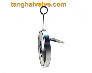 Design standards and materials for single door check valves - tanghaivalve