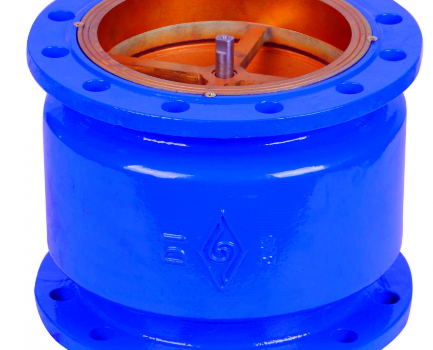 Silent check valve (TH-CKV-SLT) - Professional manufacturer