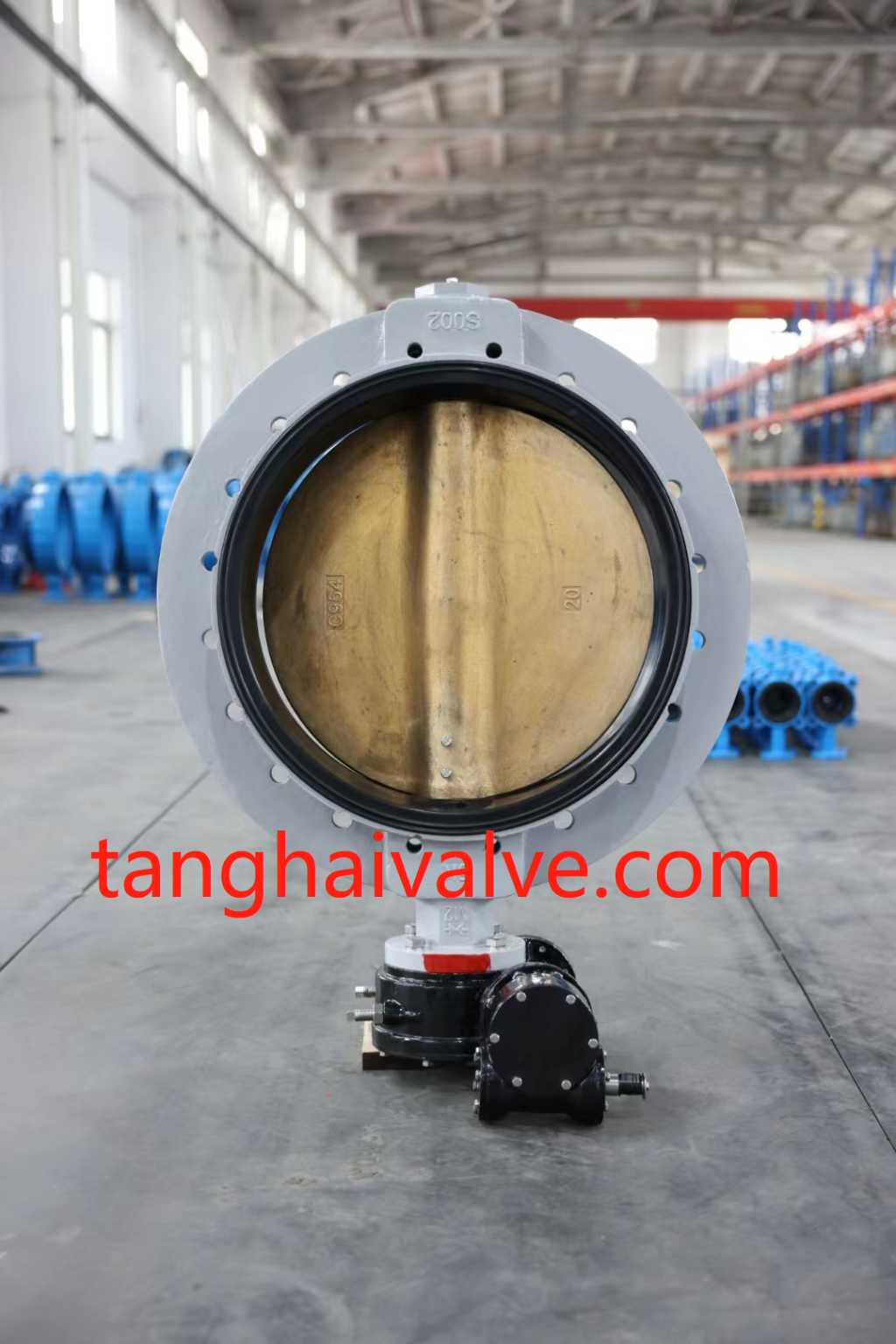 Marine Valve for Mono Flange Butterfly Valve - tanghaivalve