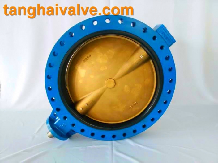 U-Type Marine Concentric Butterfly Valve Introduction